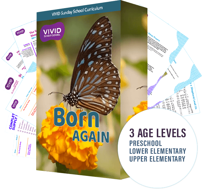 Born Again – Vivid Curriculum